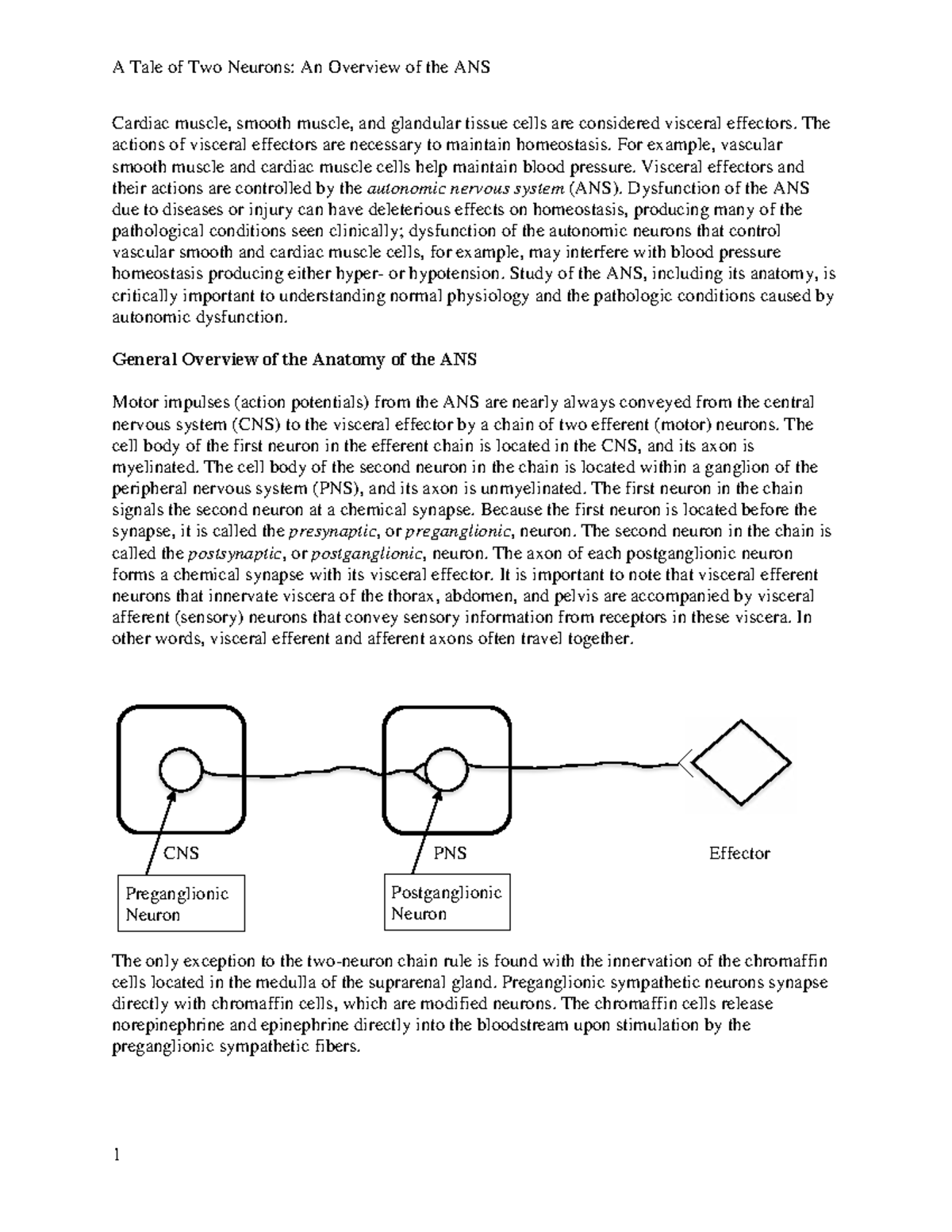 A Tale of Two Neurons: Overview of the ANS (Course 2) - Studocu