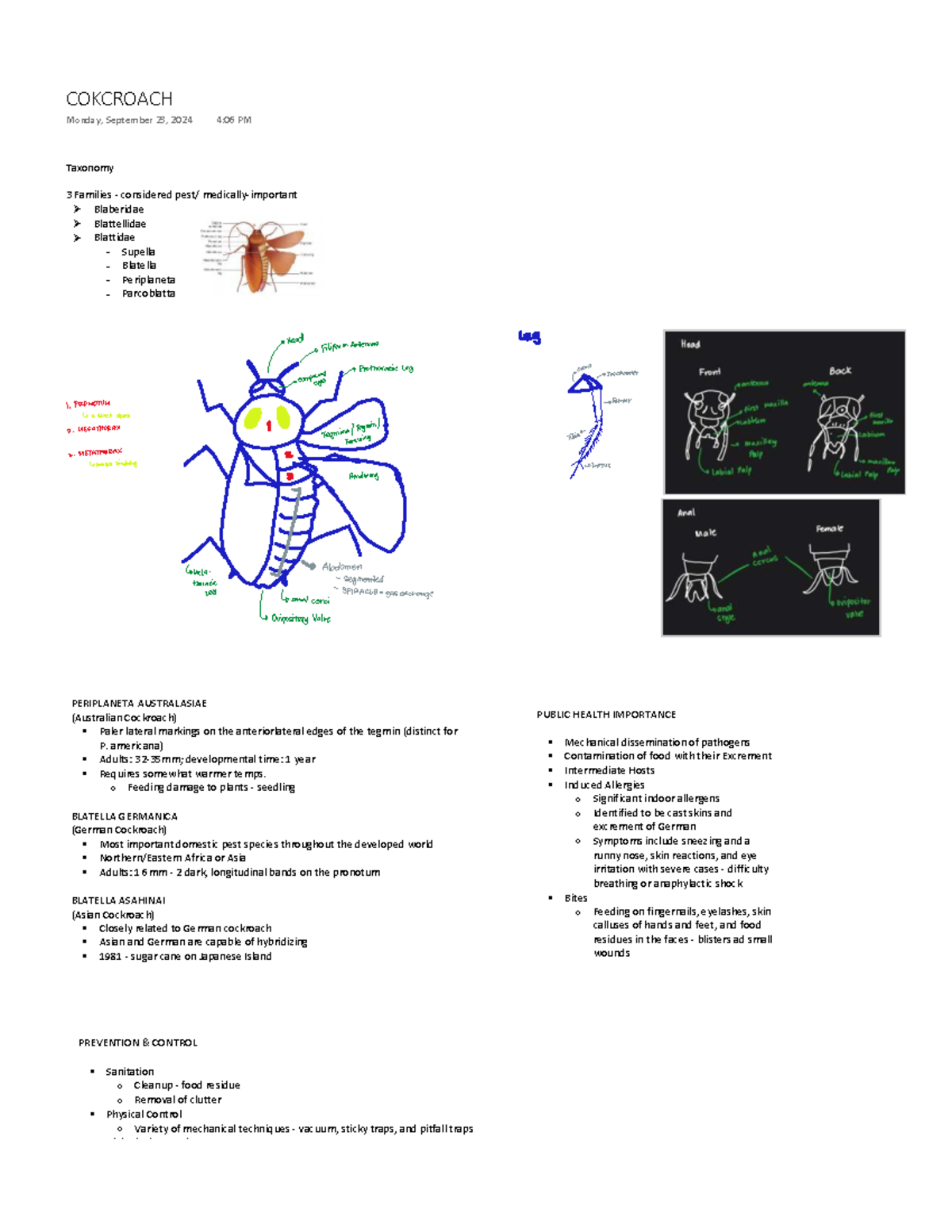 COKCROACH - MD Entomology Lecture Notes on Cockroach Taxonomy and ...