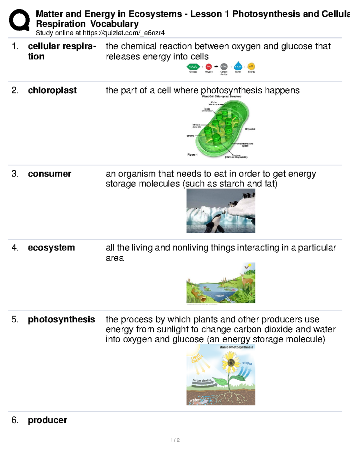 Matter and Energy Vocabulary - Lesson 1: Photosynthesis & Respiration ...