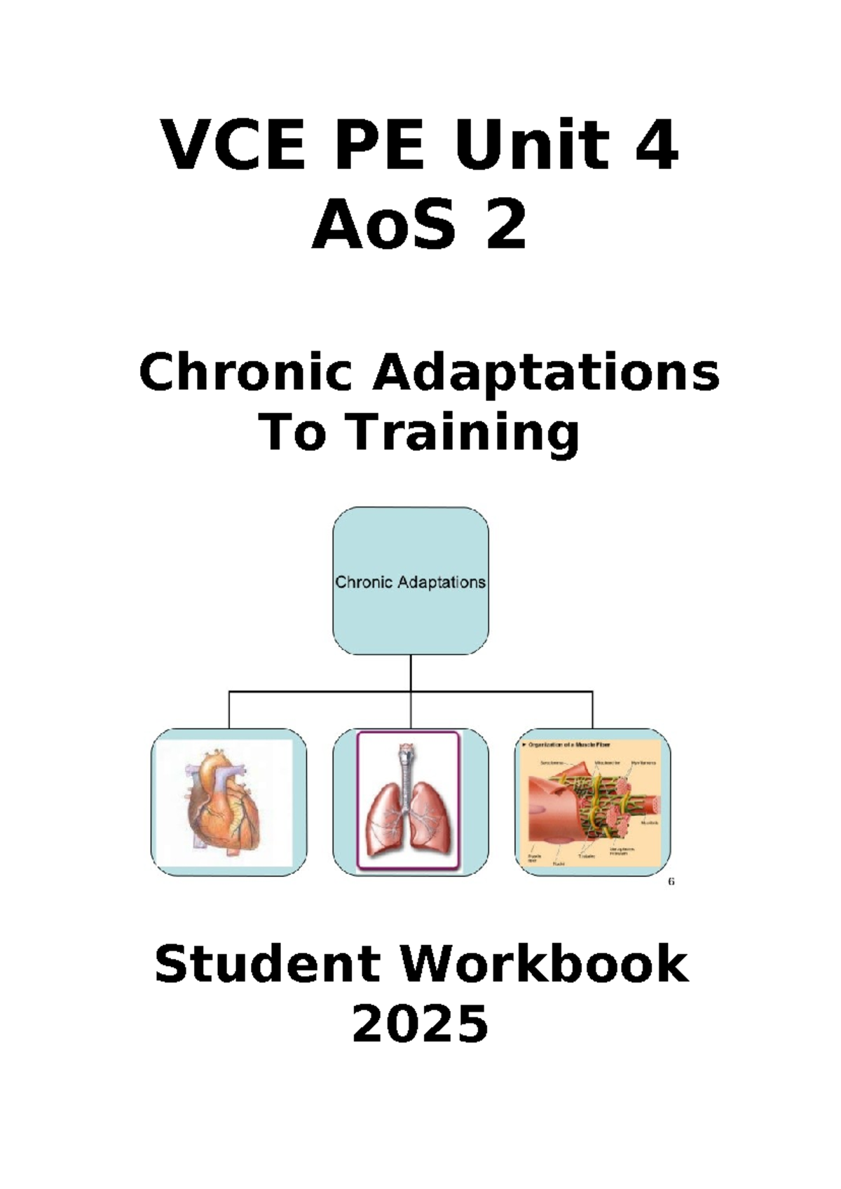 VCE PE Unit 4 AoS 2 Chronic Adaptations to Training Workbook 2024 - Studocu