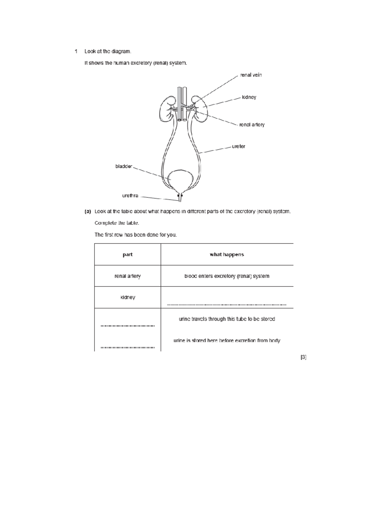 Sc-2 - Practice Sheet on Human Excretory System and Star Formation ...