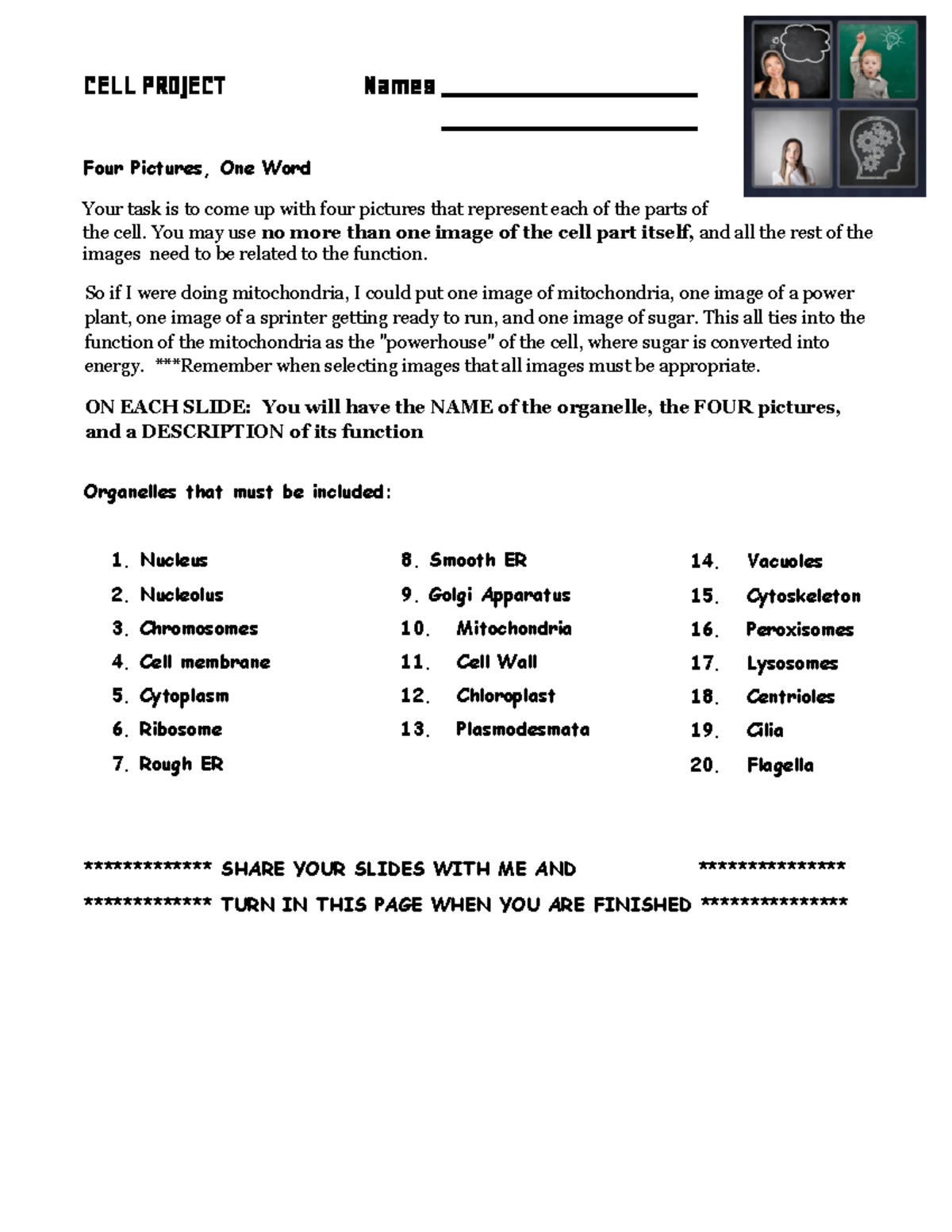 New Cell Projects - Learn organelles of eukaryotic cells - CELL PROJECT ...