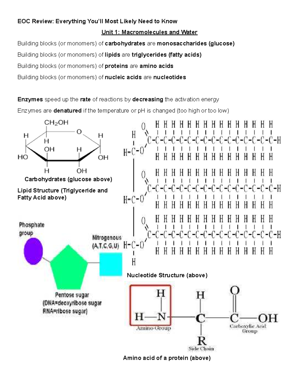 EOC Biology Final Exam Ultimate Review Cheat Sheet - Studocu