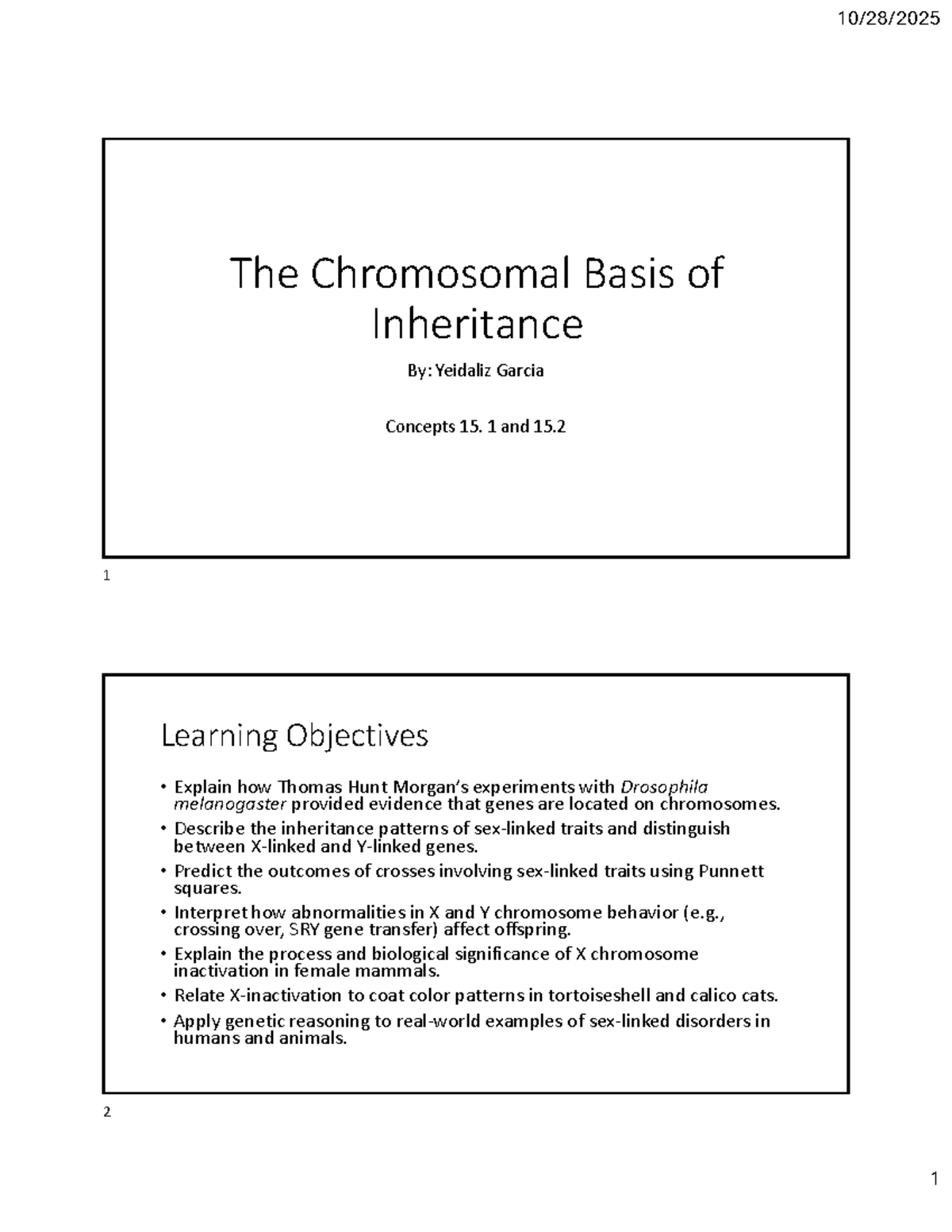 Chapter 15: The Chromosomal Basis of Inheritance - UCF Notes - Studocu