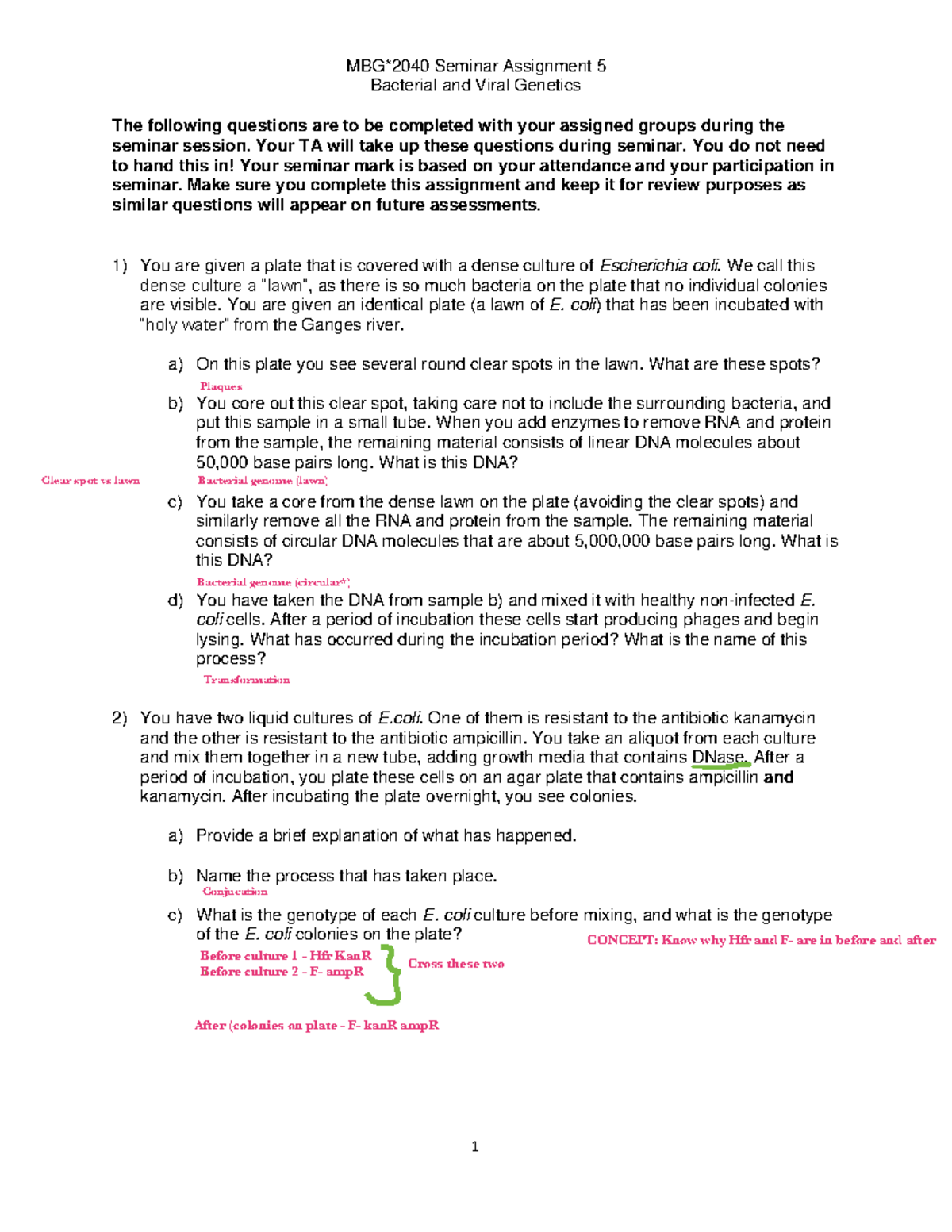 MBG*2040 Seminar 5: Bacterial and Viral Genetics Assignment Questions ...