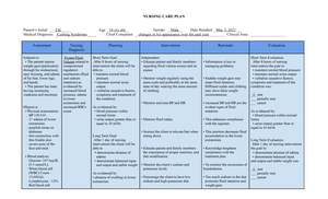 CHN - Notes - CHN – discussed by one and only NiNi CHN definition ...