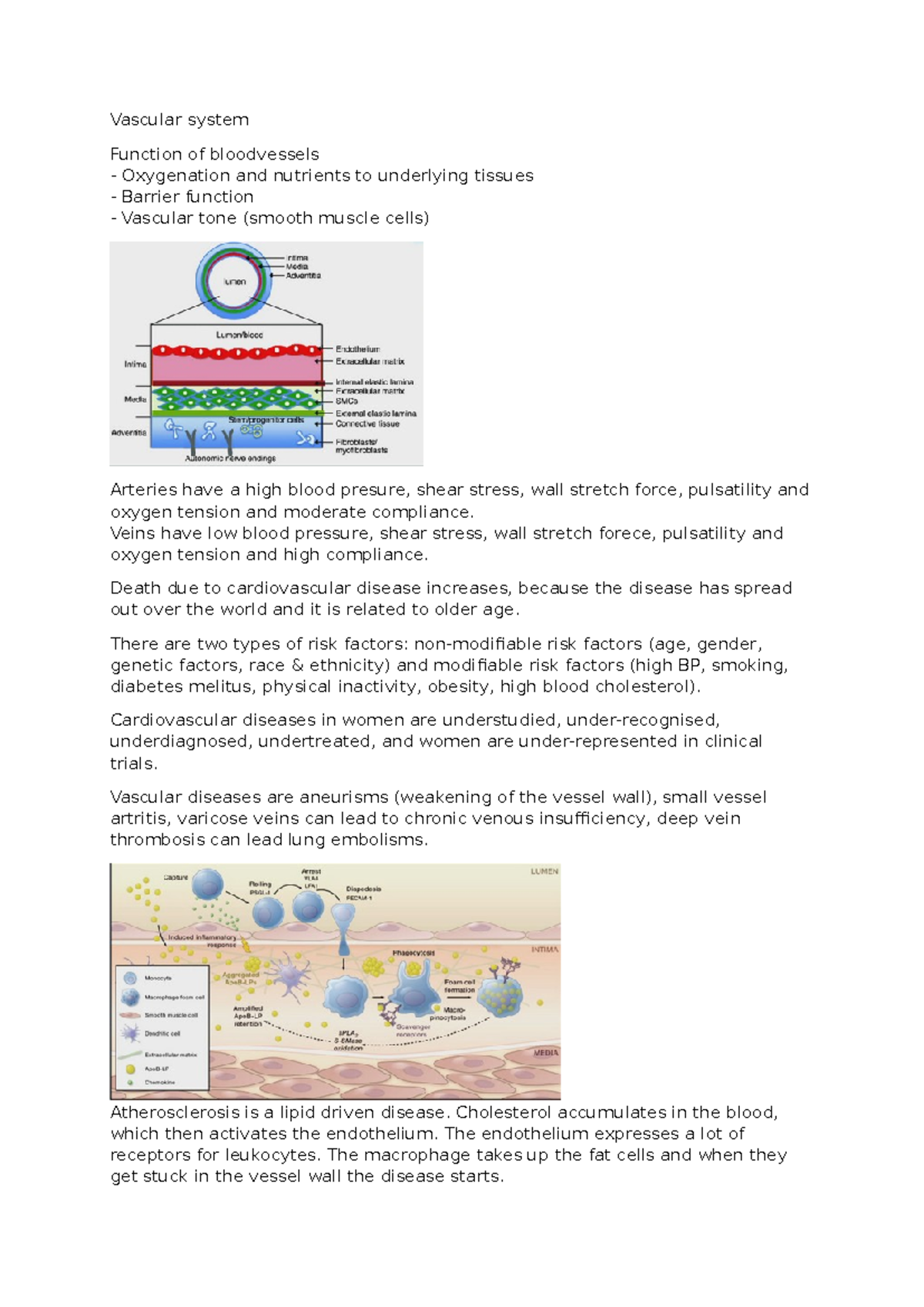 Final Exam Notes: Vascular System & Sepsis (CVD Course - Module 3 ...