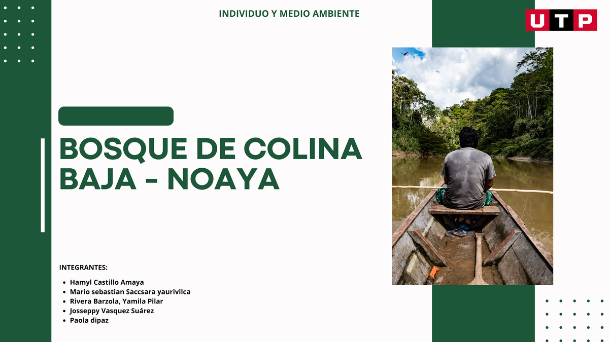 Medio Ambiente I - apuntes - BOSQUE DE COLINA BAJA - NOAYA Hamyl ...
