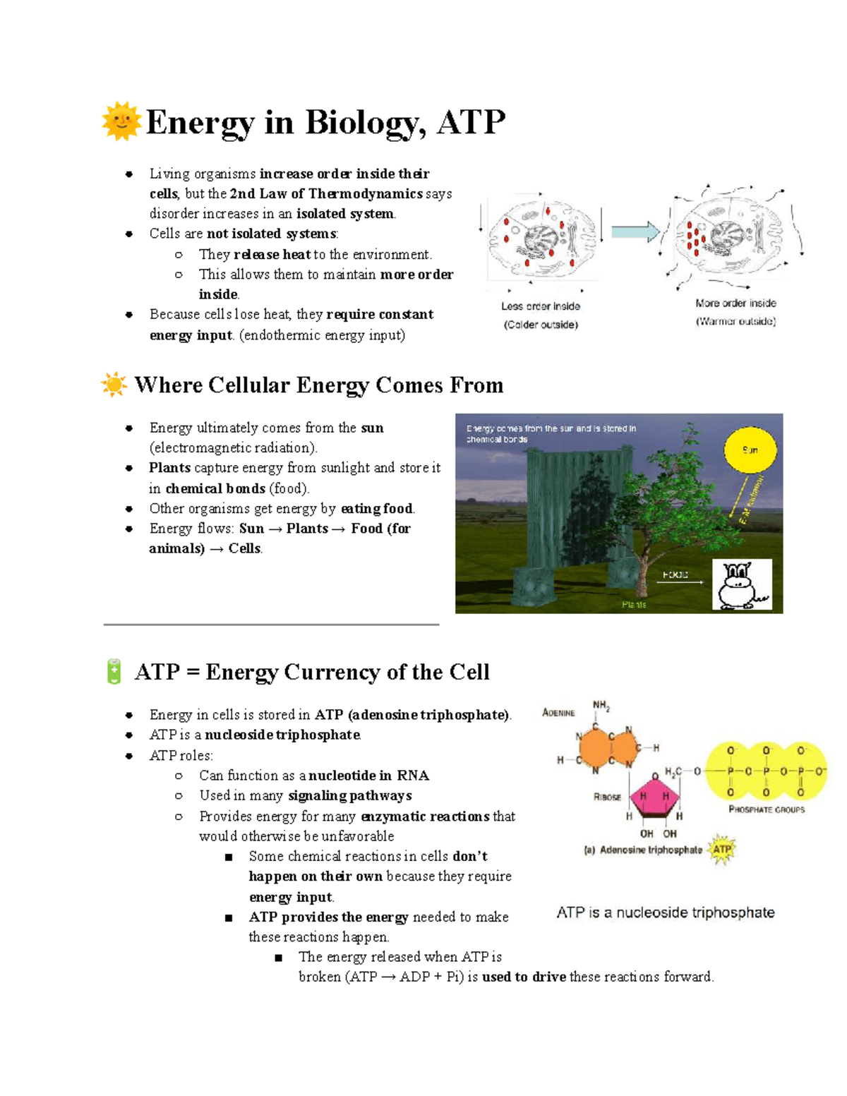 Energy in Biology: ATP and Cell Structure (BIO 101) - Studocu
