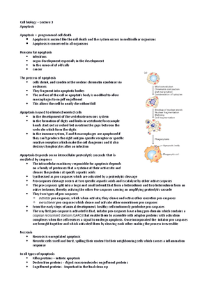 [Solved] What are the advantages and disadvantages of the technique ...