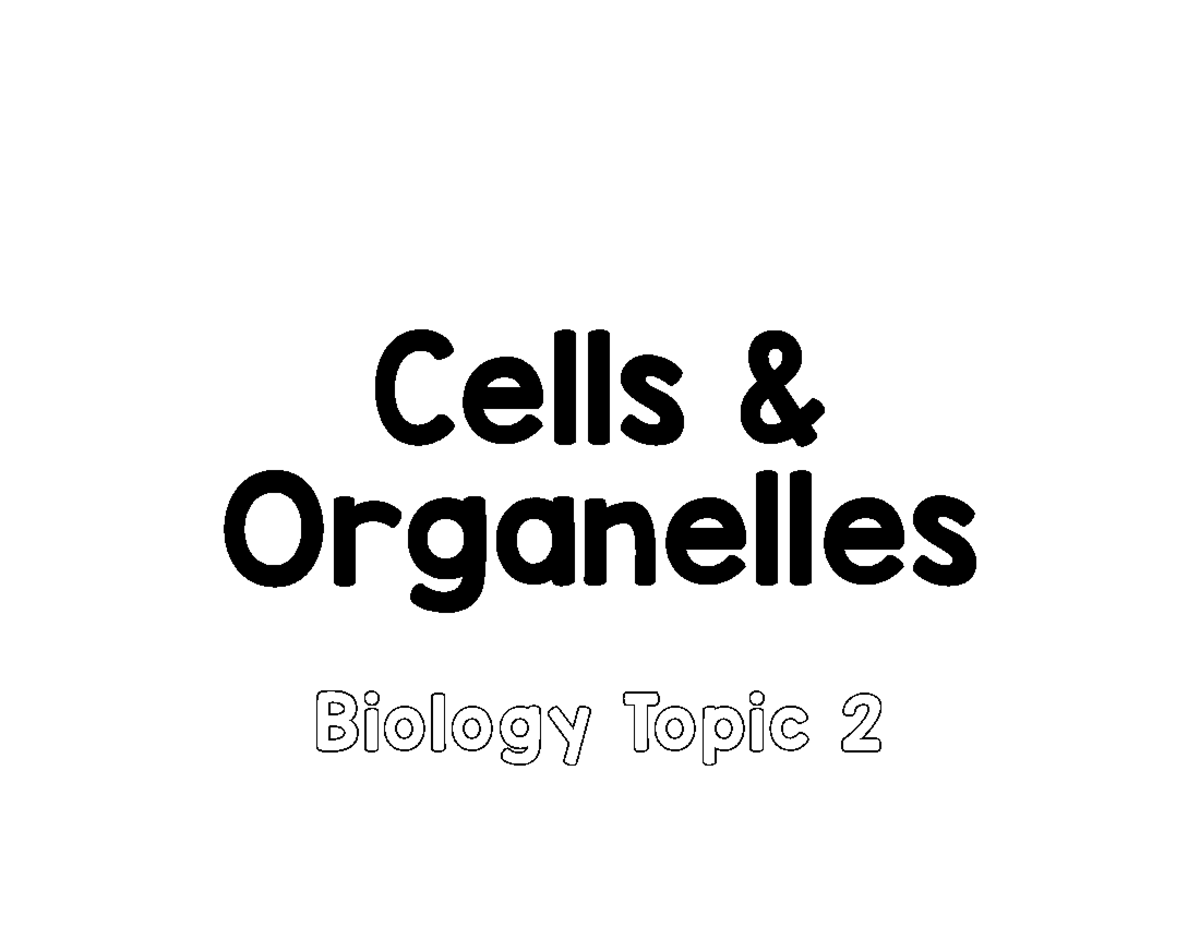 B2: Cells & Organelles - Types, Functions, and Structures Explained - Studocu