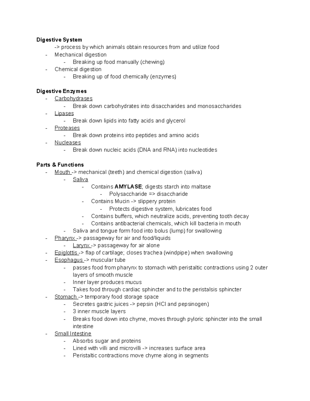 SBI3U Digestive & Circulatory Systems Study Notes - Studocu