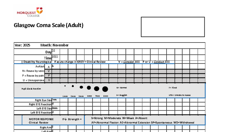 GCS Flowsheet Practice - Adult Neurological Assessment (2025) - Studocu