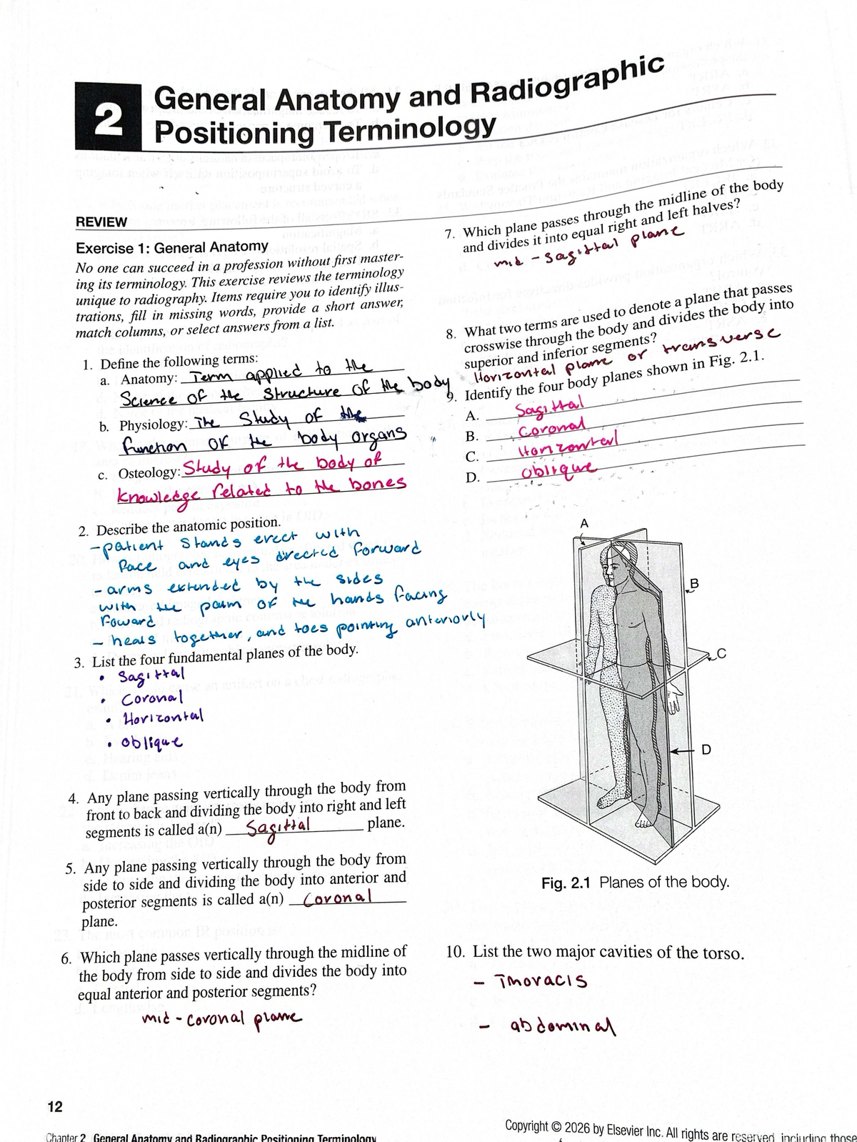 RTR HW Chapter 2: General Anatomy & Radiographic Positioning ...