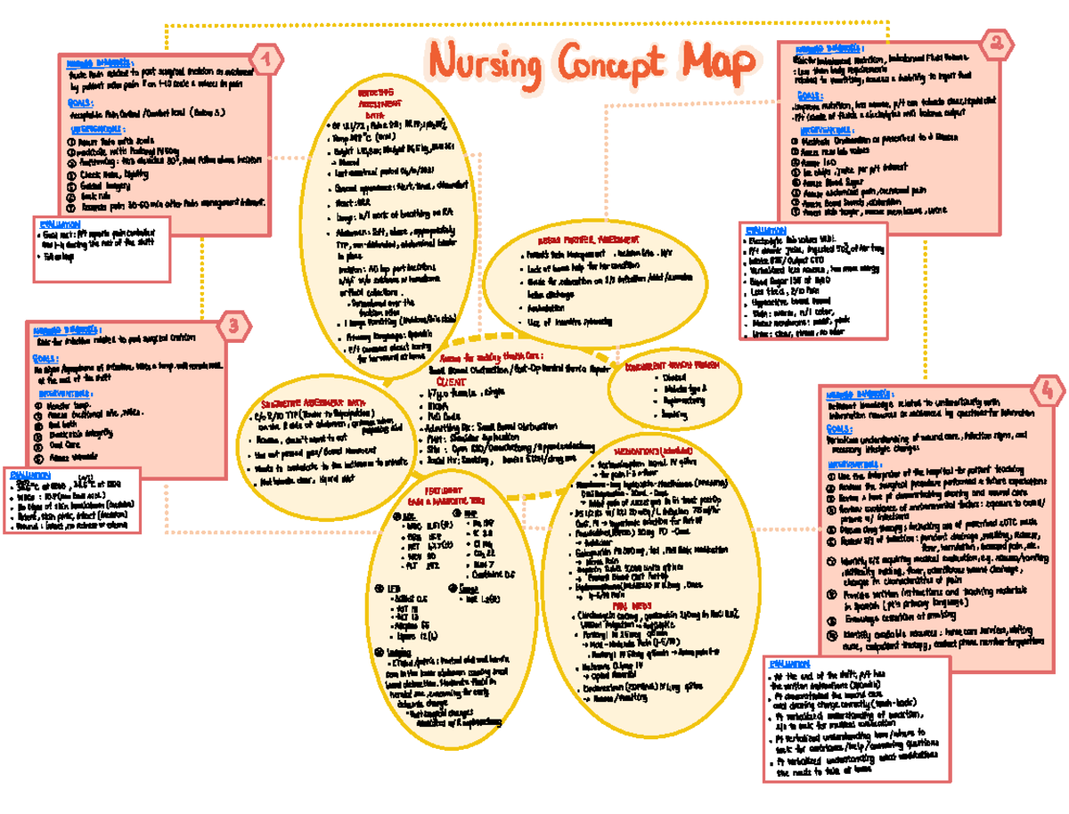 NURS 202 Nursing Concept Map: Post-Operative Care for Surgical Patients ...