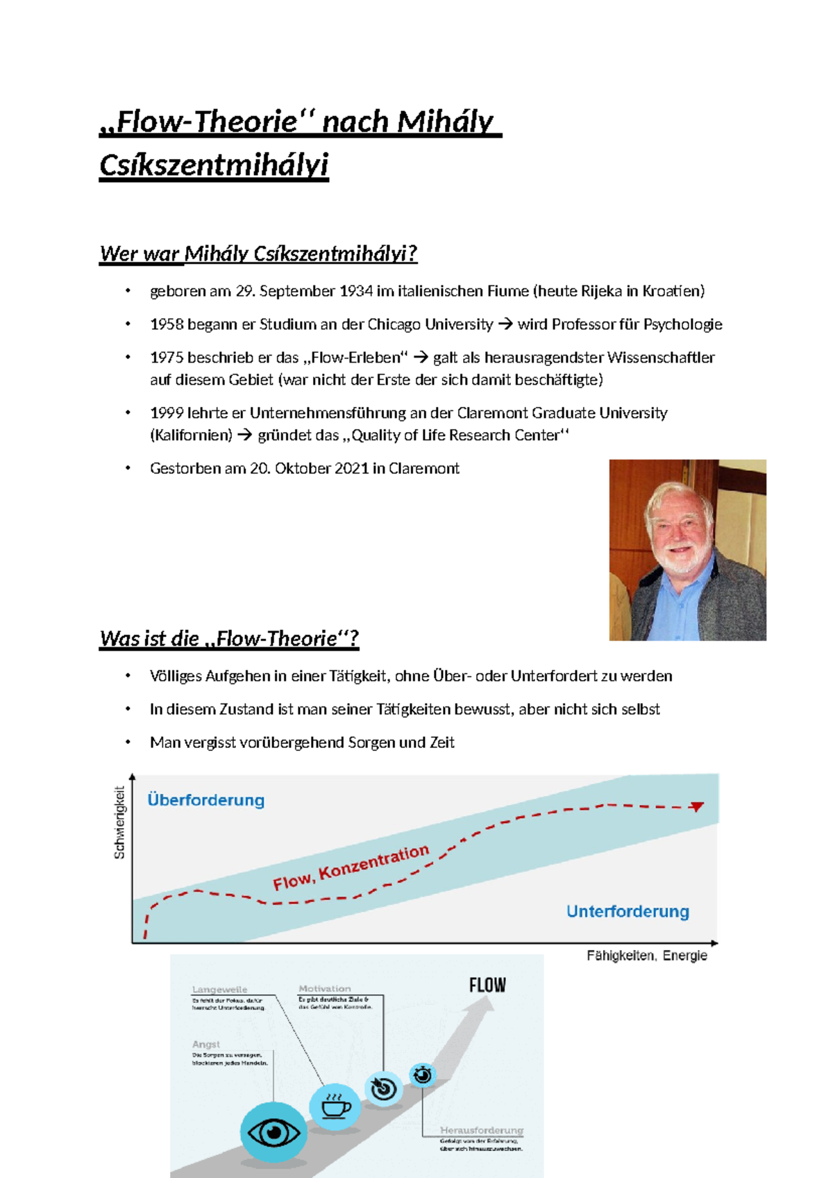 Flow Handout - Ein kleiner Einblick in die flow Theorie - ,,Flow ...