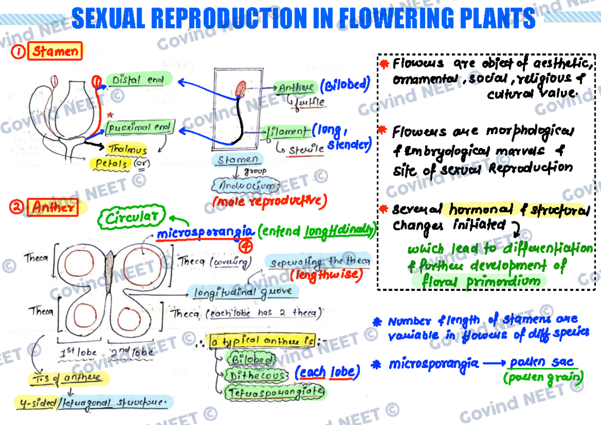 1. Sexual Reproduction in Flowering Plants - neet biology - SEXUAL ...
