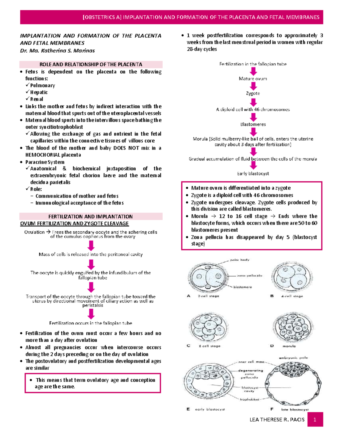 IMPLANTATION AND FORMATION OF PLACENTA & FETAL MEMBRANES (BIO 101 ...