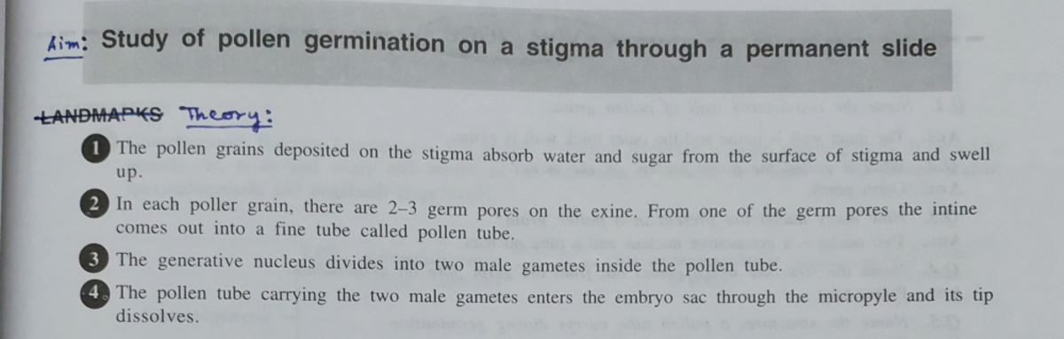 Class XII Practical: Pollen Germination on Stigma Study - Studocu