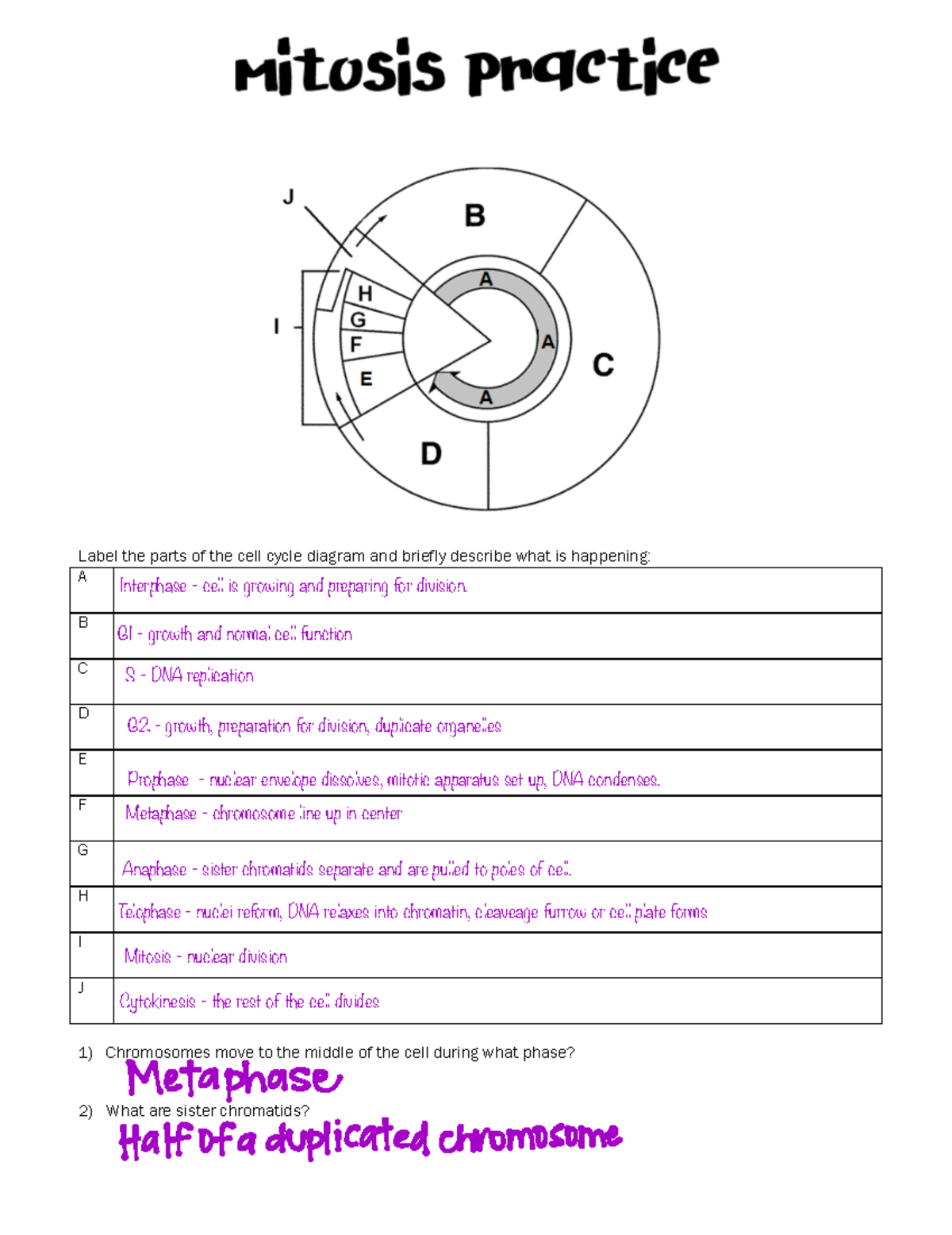 Mitosis practice key - Label the parts of the cell cycle diagram and ...