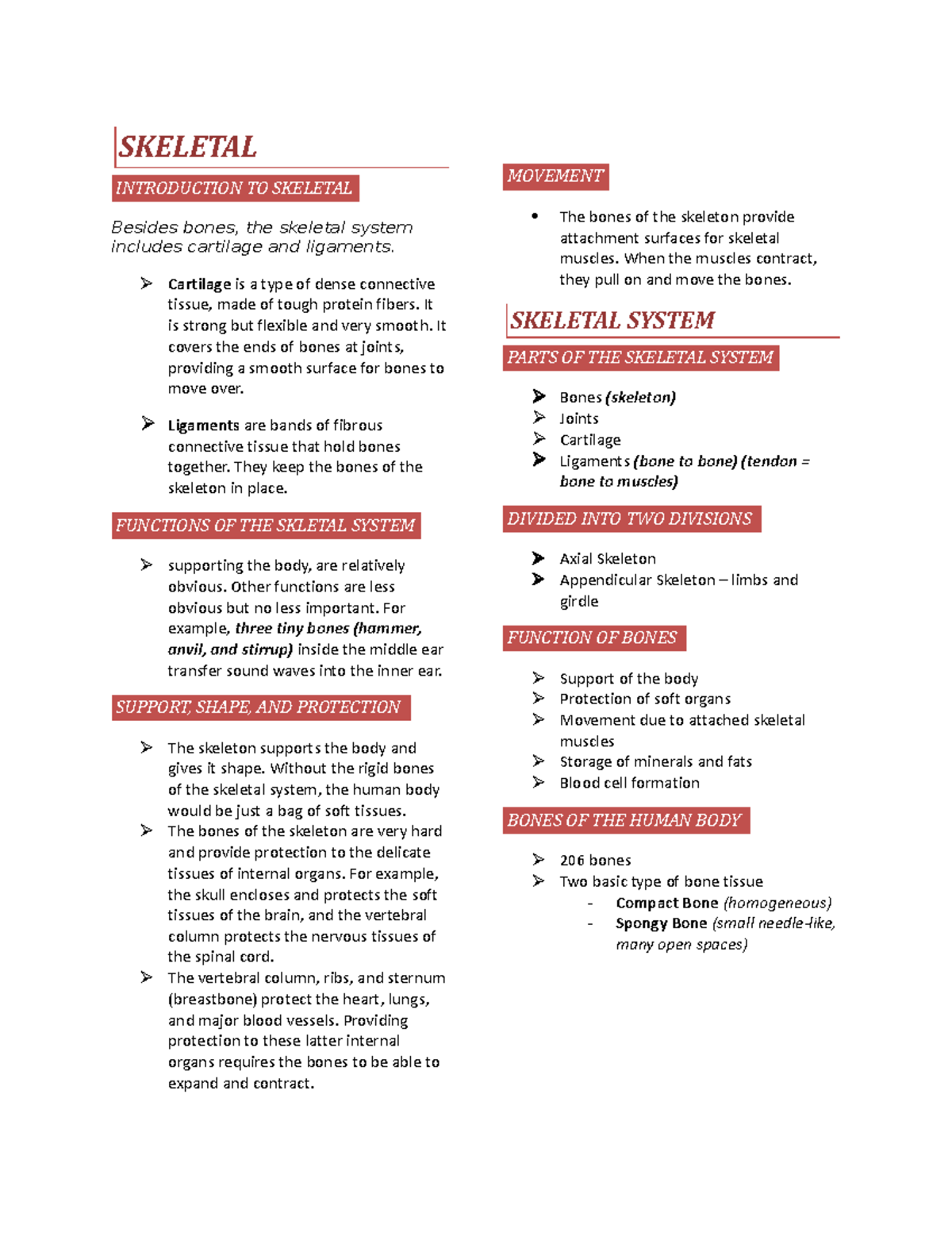 SKELETAL and MUSCULAR SYSTEMS Midterm Study Guide (Anaphy) - Studocu