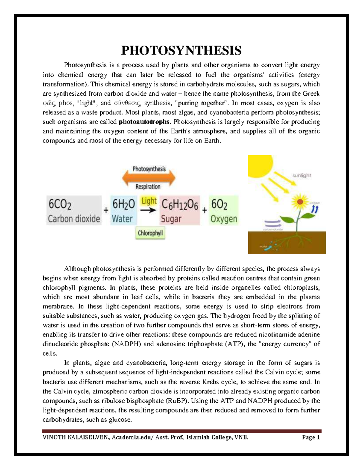 Photosynthesis Process Overview and Mechanisms: A Comprehensive Guide ...