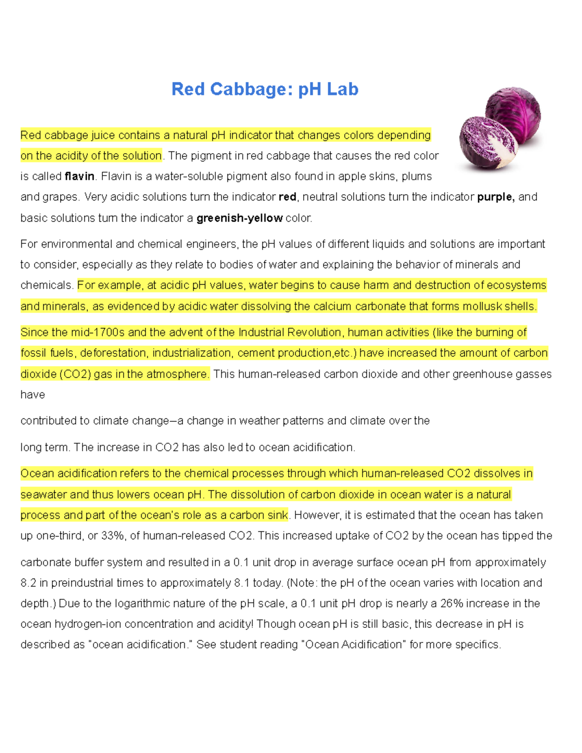 Red Cabbage pH Lab Analysis - Adan Bravo's Experiment Insights - Studocu