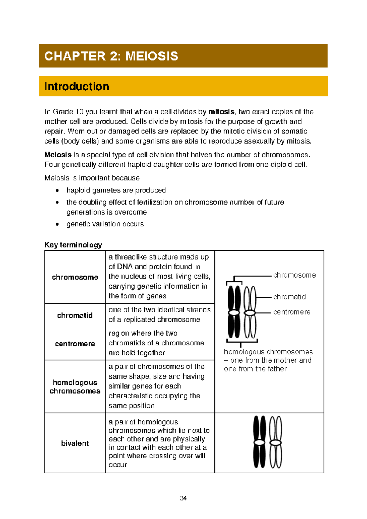CHAPTER 2: MEIOSIS - Understanding Cell Division and Genetic Variation ...