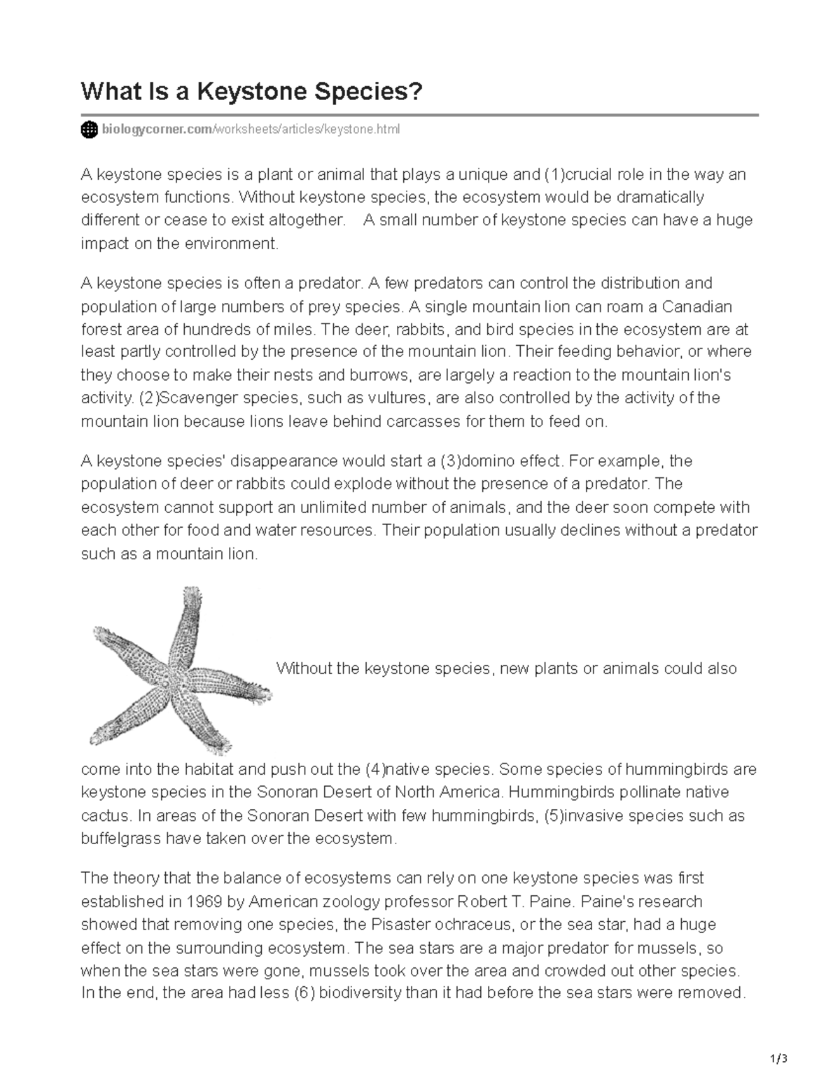 What Is a Keystone Species - 1/ What Is a Keystone Species? - Studocu