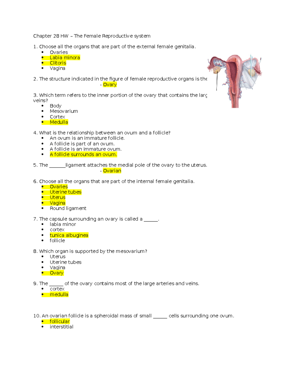 Chapter 28 HW: Female Reproductive System Quiz - Studocu