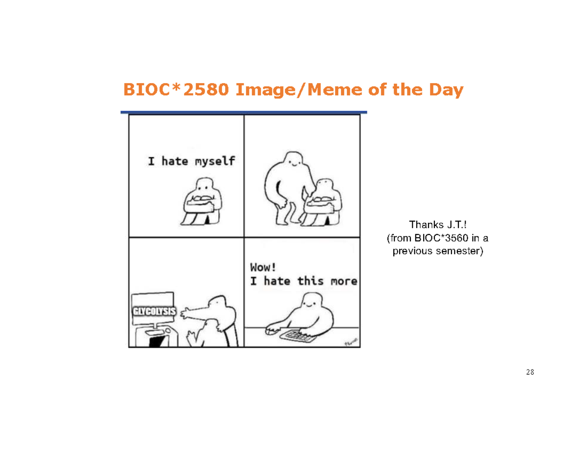 Lecture 2: Amino Acids, Peptide Bonds, and Polarity Concepts - Studocu