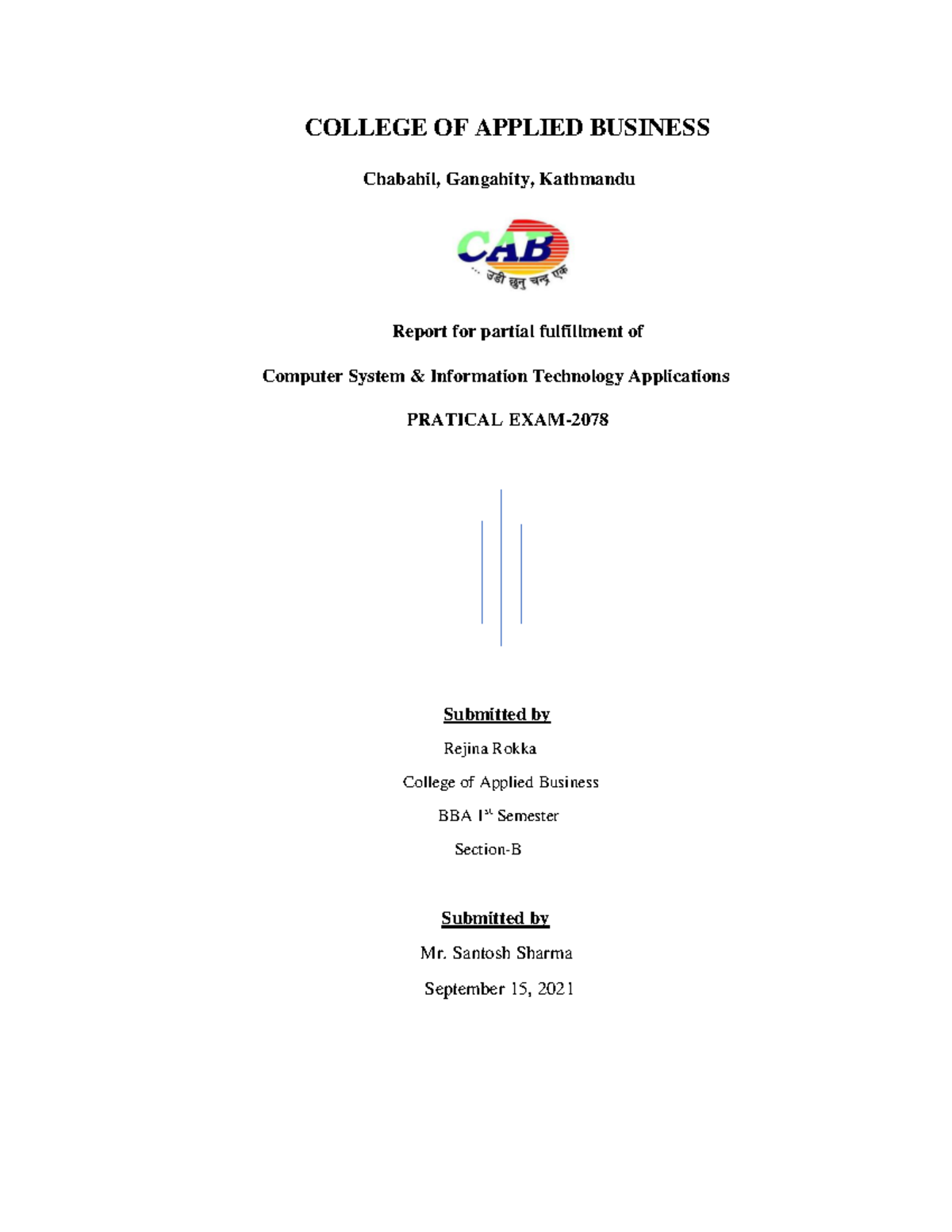 BBA 1st Semester Report on Computer Systems & IT Applications - Studocu