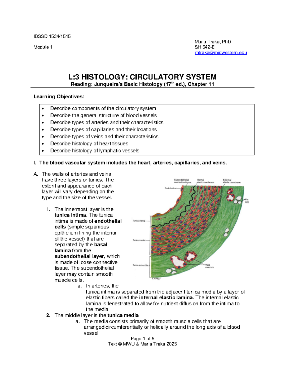 Histology of the Circulatory System: Arteries, Capillaries, and Veins ...