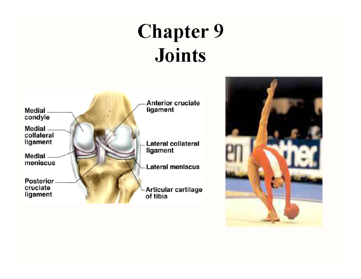 Chapter 9: Joints and Their Classifications in Arthrology - Studocu