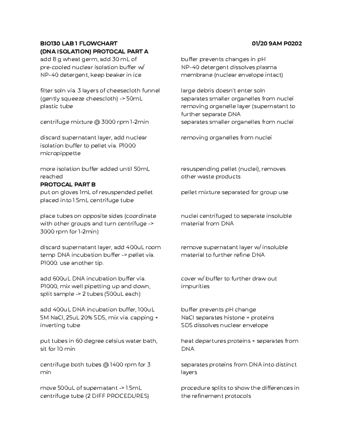 BIO130 Lab 1 Flowchart: DNA Isolation Protocols and Procedures - Studocu