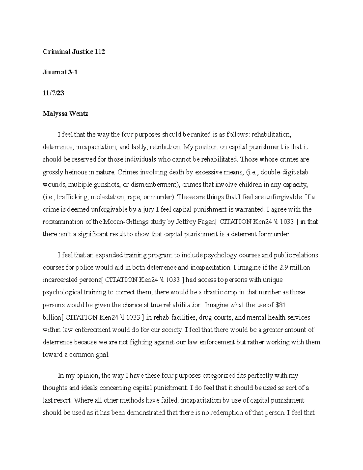 CJ 112 Module 4 Assignment: Functions of Law Enforcement in Sanctuary ...