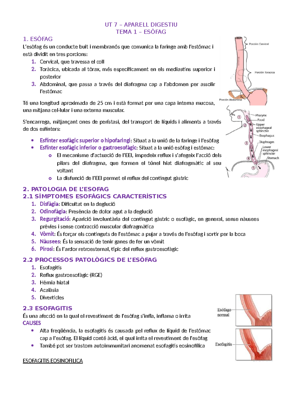 UT 7 Fisiopatologia de l'Esòfag: Síntomes i Patologies - Studocu