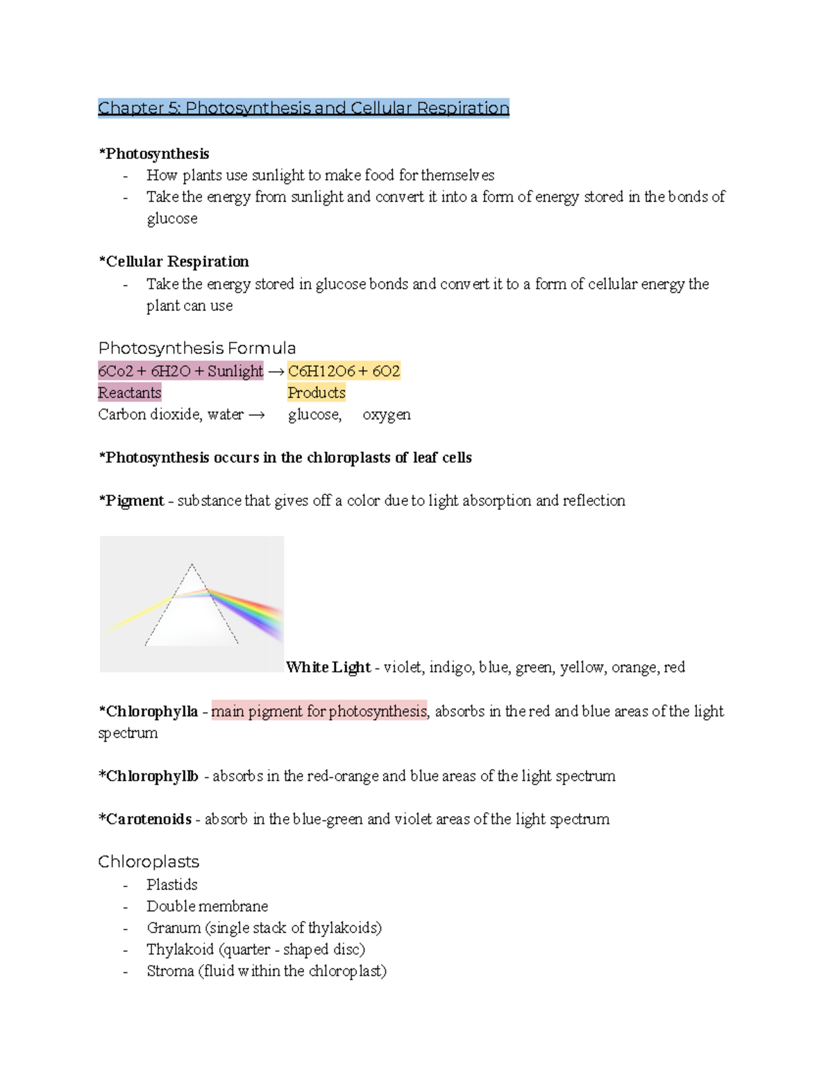 Biology Notes: Chapter 5 - Photosynthesis & Cellular Respiration - Studocu