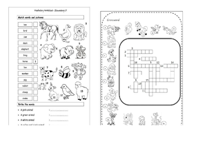 Basic questions and daily routine - Basic questions 1) Introduce ...