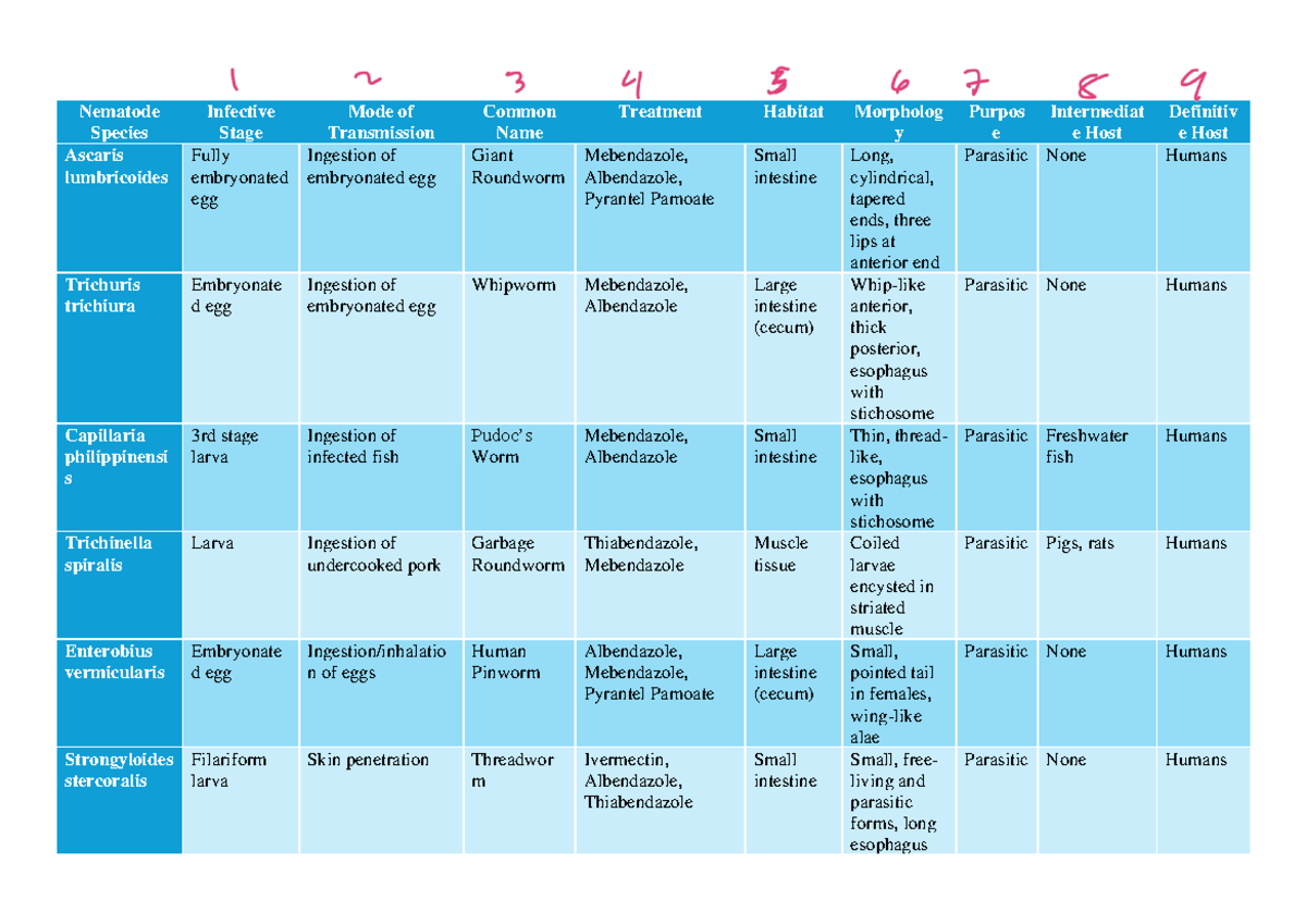 Ff Nematodes - Table foat - Nematode Species Infective Stage Mode of ...