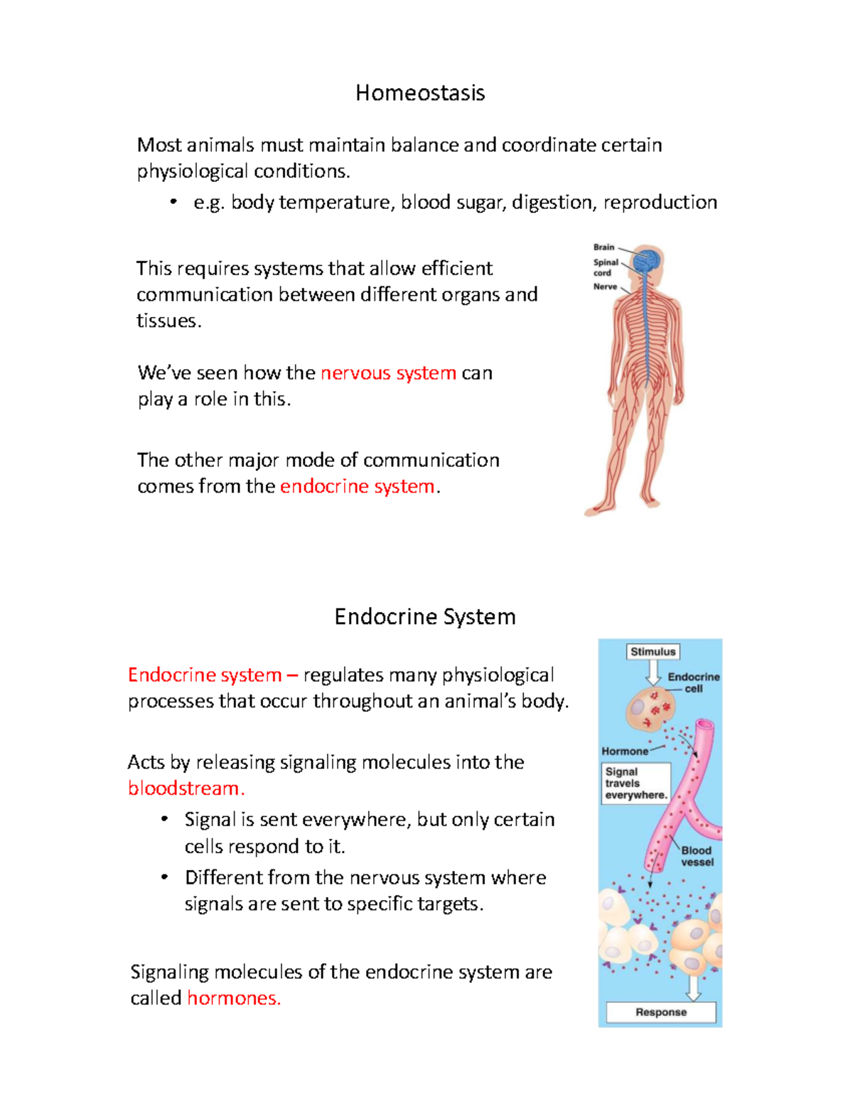 31 - Hormones and homeostasis: Understanding endocrine regulation - Studocu