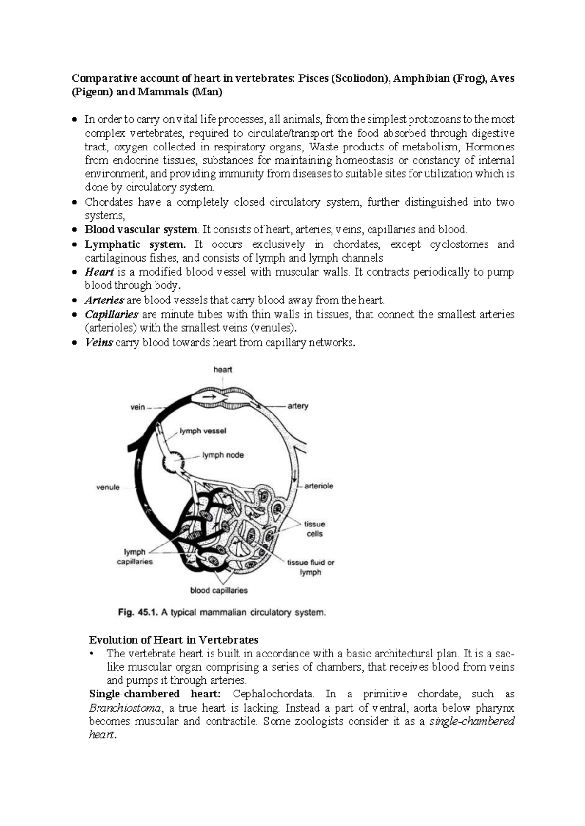 Comparative Study of Heart Structures in Vertebrates (Biology 101 ...
