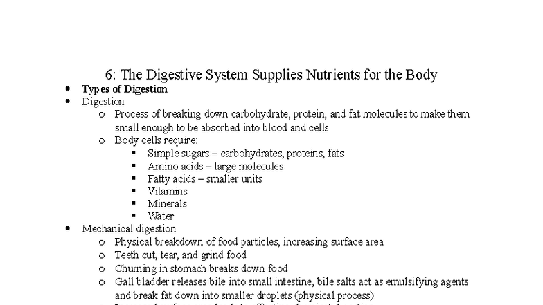 Chapter 6: The Digestive System and Nutrient Absorption - Studocu