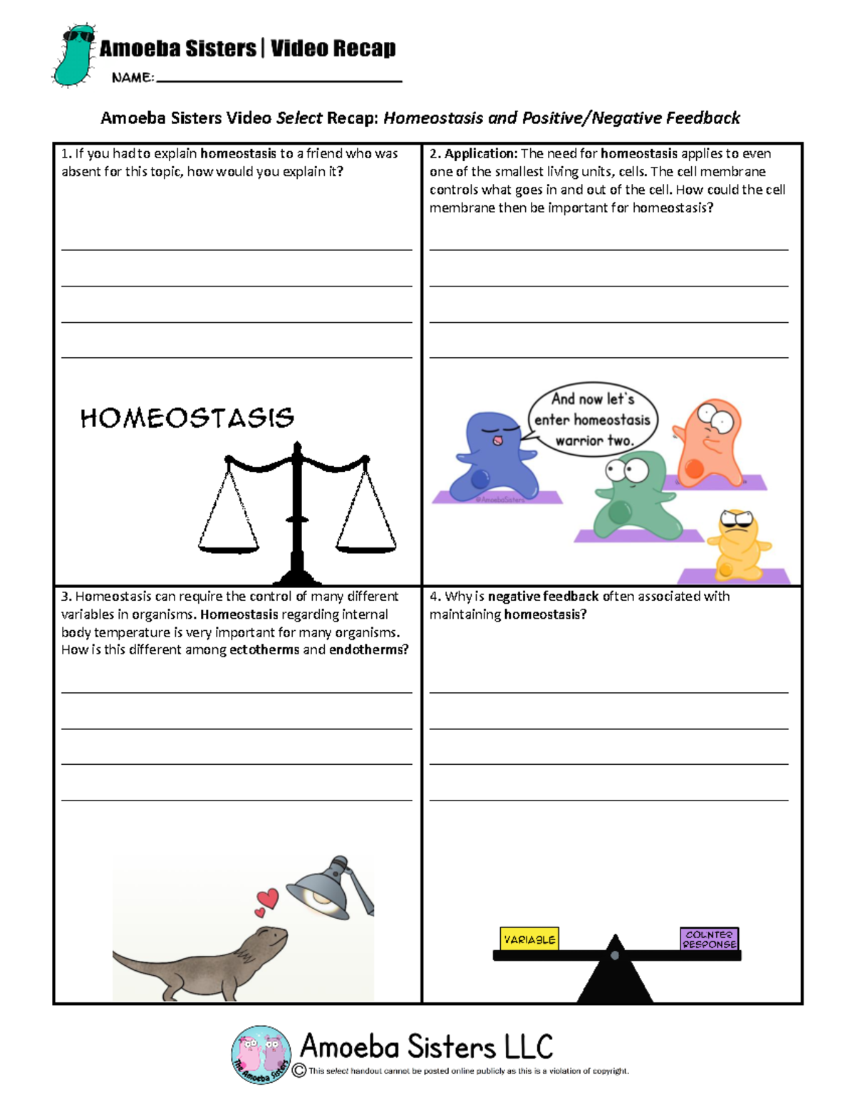 Amoeba Sisters: Homeostasis & Feedback Mechanisms Recap Notes - Studocu