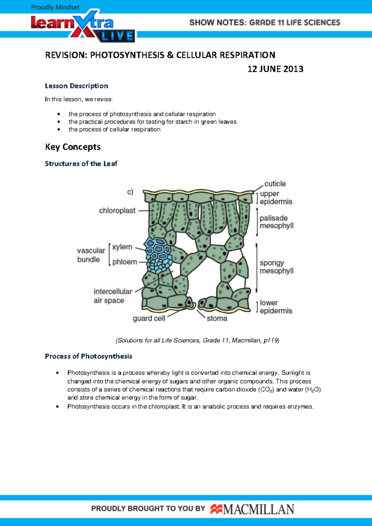 Photosynthesis AND Cellular Respiration - REVISION: PHOTOSYNTHESIS ...