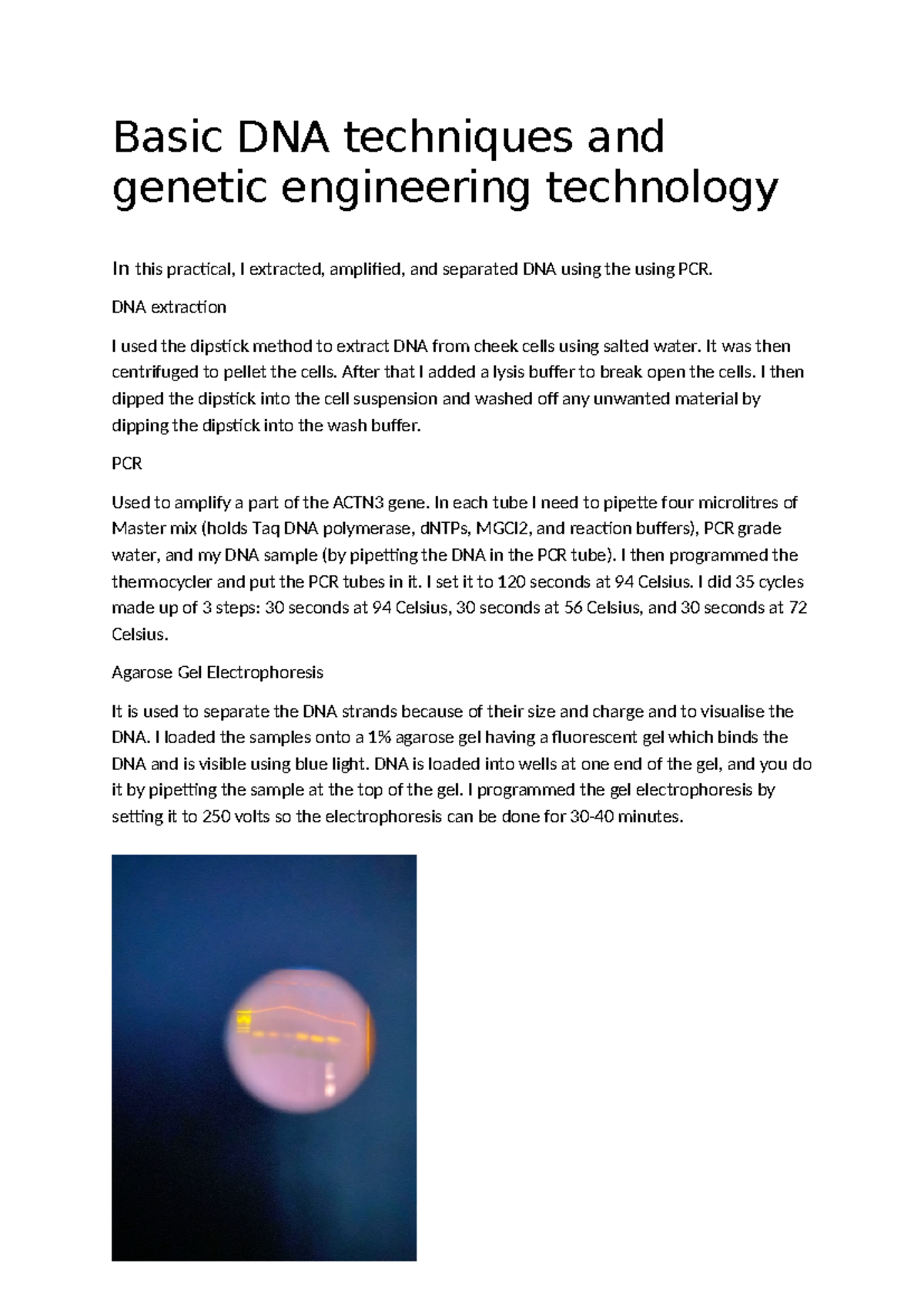 Unit 11 Aim D: Advanced DNA Techniques & Genetic Engineering Insights ...