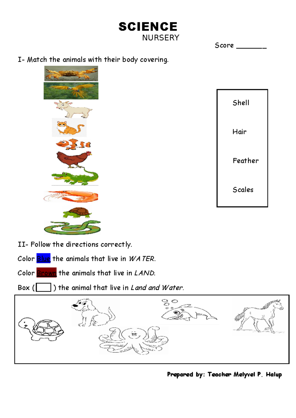 SCIENCE & MATH KINDERGARTEN Exam Review: Animal Habitats & Values - Studocu