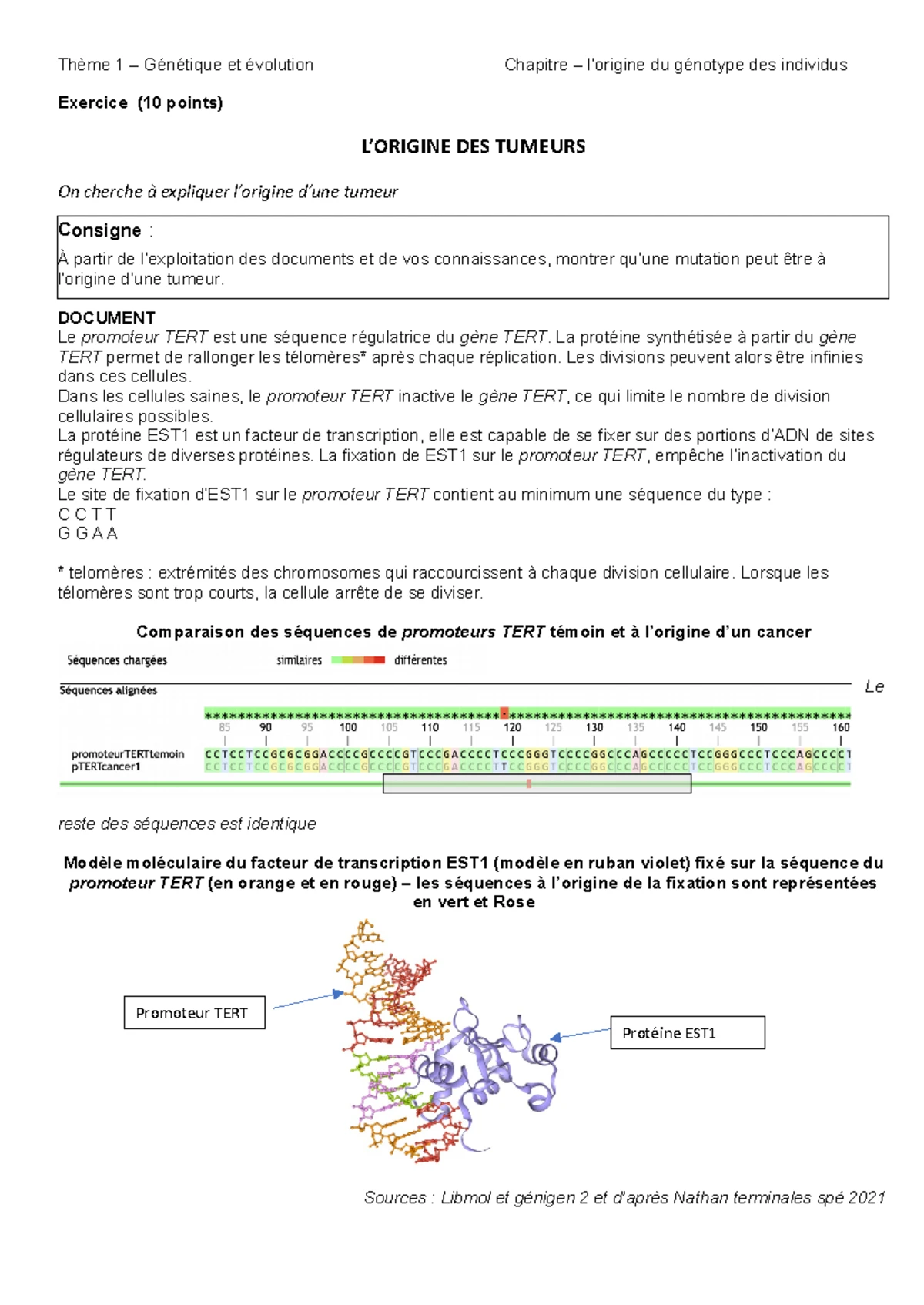 Fiche 13 : Méthodes d'Observation au Microscope - SVT Lycée Camille ...