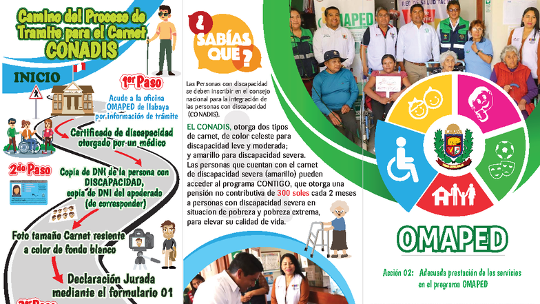 Guía de Trámite para el Carnet CONADIS - OMAPED Ilabaya - Studocu
