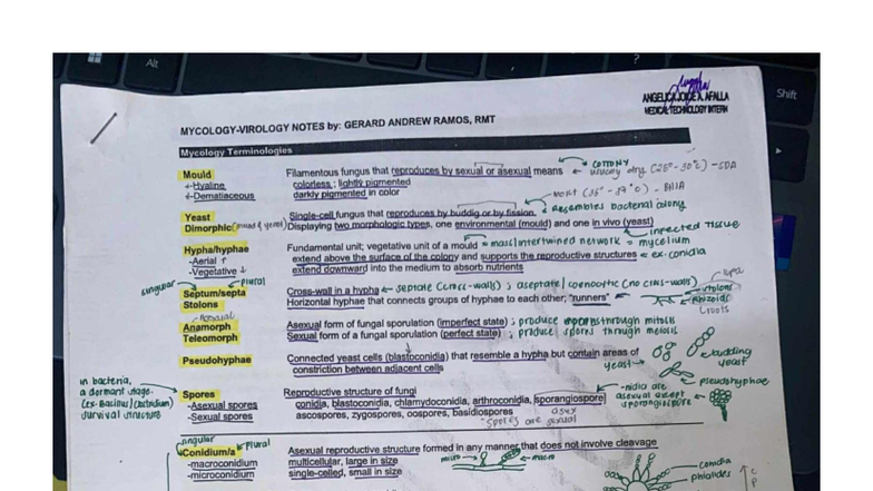 Myco Viro Handouts 24-25: Mycology and Virology Terminologies - Studocu